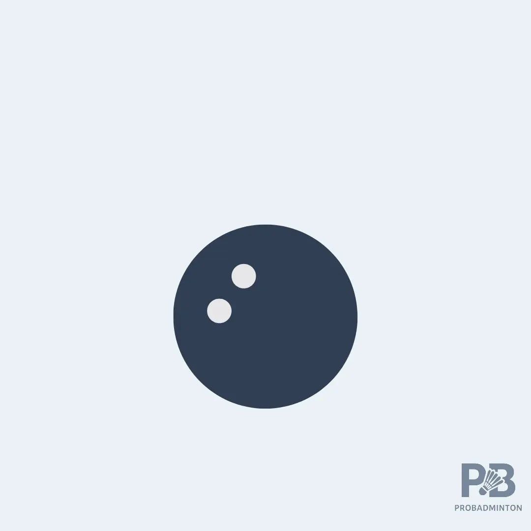 Squash Ball Collection – Probadminton